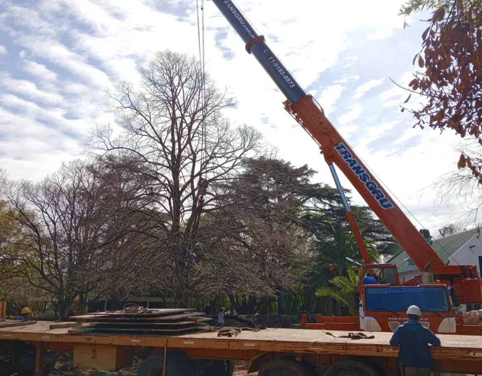 NOVEDADES – Ing. Ariel Splenser – Tree Consulting Arboricultura